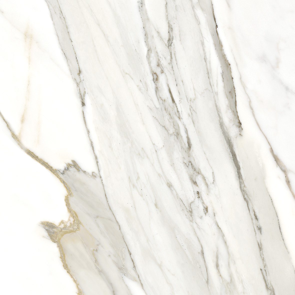 Gresie calacatta oro 45 x 45 cm , alb - influent.ro